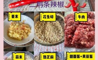 东北辣椒牛肉酱怎么做_家庭版详细步骤