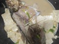 鲫鱼炖豆腐粉条怎么做_鲫鱼炖豆腐粉条的家常做法