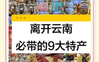 云南土特产有哪些值得买_云南土特产怎么选