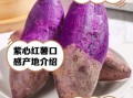 紫色红薯的功效与作用_紫色红薯怎么吃最营养