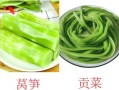 像莴苣的蔬菜叫什么菜_口感相似的蔬菜有哪些