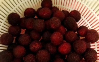 晒杨梅干的做法窍门_杨梅干怎么晒不烂