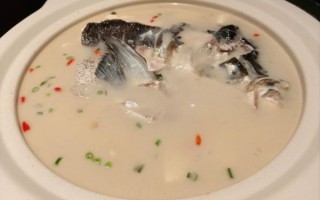 清炖三枪鱼汤怎么做_三枪鱼汤去腥技巧