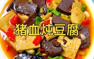 猪血豆腐汤怎么做_猪血豆腐汤的家常做法