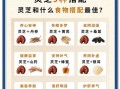 灵芝的功效与作用吃法_灵芝怎么吃效果最好