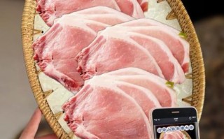 猪大排的营养价值_猪大排适合什么人吃