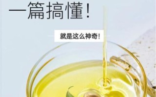茶油怎么吃效果好_茶油怎么吃最健康