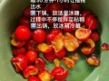 水果酱怎么做_水果酱的做法大全集