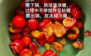 水果酱怎么做_水果酱的做法大全集