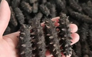 长岛海参60头一斤价格_多少钱一斤