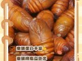 蚕蛹一天吃几个能补高蛋白_蚕蛹蛋白质含量高吗
