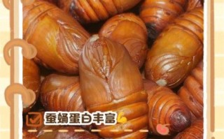 蚕蛹一天吃几个能补高蛋白_蚕蛹蛋白质含量高吗