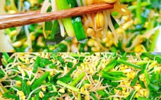 黄豆芽炒韭菜怎么做_黄豆芽炒韭菜的家常做法