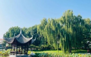 北京年轻人去哪玩_北京有什么小众好玩的地方