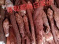 新鲜鸡枞菌怎么保存_鸡枞菌价格多少钱一斤