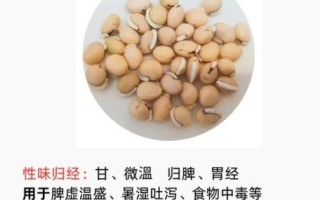 红扁豆和白扁豆的区别_哪个营养价值更高