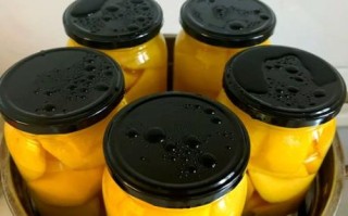 罐头怎么做法_自制罐头能保存多久