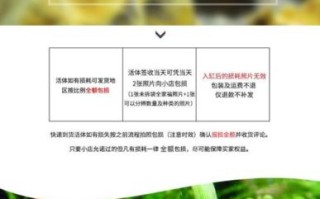 樱花虾怎么养_樱花虾饲养水质要求