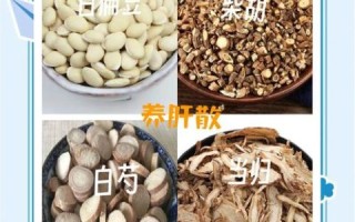 小扁豆和白扁豆的区别_哪个更适合日常食用