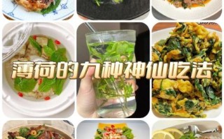 新鲜薄荷怎么做家常菜_薄荷入菜有哪些做法