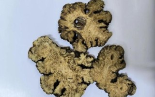 芎怎么读_芎的拼音和含义是什么