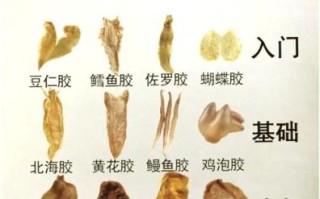 鱼胶多久吃一次最好_鱼胶一周吃几次合适