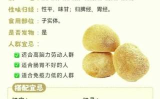 猴头菇煮水治胃病吗_猴头菇怎么煮水养胃