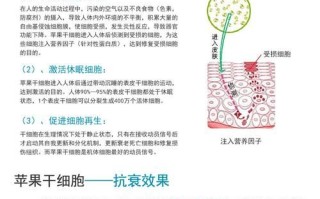 苹果干细胞护肤品功效_苹果干细胞能抗衰老吗