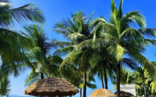 三亚旅游景点排名前十_必去景点有哪些