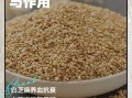芝麻的功效与作用_吃芝麻能补钙吗