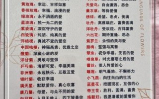 所有花语大全_花语含义是什么
