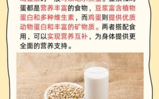 豆浆和鸡蛋能一起吃吗_早餐搭配真相