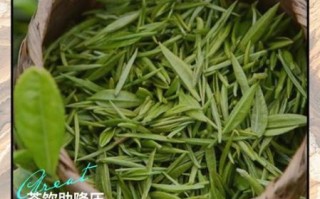 降血压最有效的茶_高血压喝什么茶最好 降血压最有效的茶_高血压喝什么茶最好