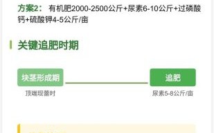 马铃薯怎么种产量高_马铃薯施肥时间和方法