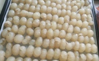 龙眼肉怎么晒_龙眼肉晒干需要几天