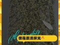 槐花泡茶有什么功效_槐花泡茶的作用与禁忌