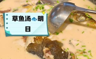 产妇草鱼汤的做法大全_草鱼汤下奶吗