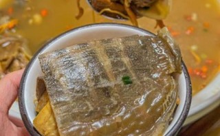 甲鱼汤怎么煲才没腥味_甲鱼汤做法大全煲汤窍门