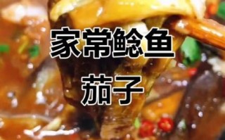 鲶鱼炖茄子怎么做才好吃_鲶鱼炖茄子家常做法