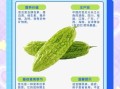 苦瓜怎么吃降糖快_苦瓜降糖的正确吃法