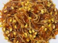 黄豆芽炒粉条怎么炒好吃_黄豆芽炒粉条的家常做法