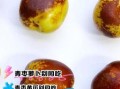 青枣不能和什么一起吃_青枣与哪些食物相克