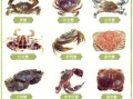 螃蟹种类及名称_如何区分常见蟹类