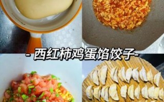 西红柿鸡蛋饺子怎么做_西红柿鸡蛋饺子馅怎么调