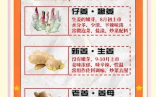 生姜的功效与作用_生姜的营养价值