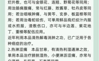 白花蛇舌草的功效与作用_白花蛇舌草能治疗哪些疾病