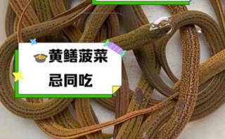 吃黄鳝的危害有哪些_黄鳝吃多了会怎样