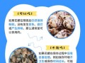 花螺煮多久才熟_如何判断花螺已煮熟
