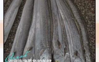 带鱼怎么处理干净_带鱼内脏怎么去除