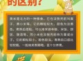 黄米和小米的区别_黄米怎么做好吃